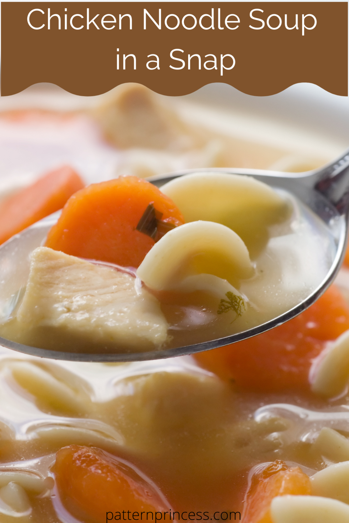 Chicken Noodle Soup in a Snap - Pattern Princess