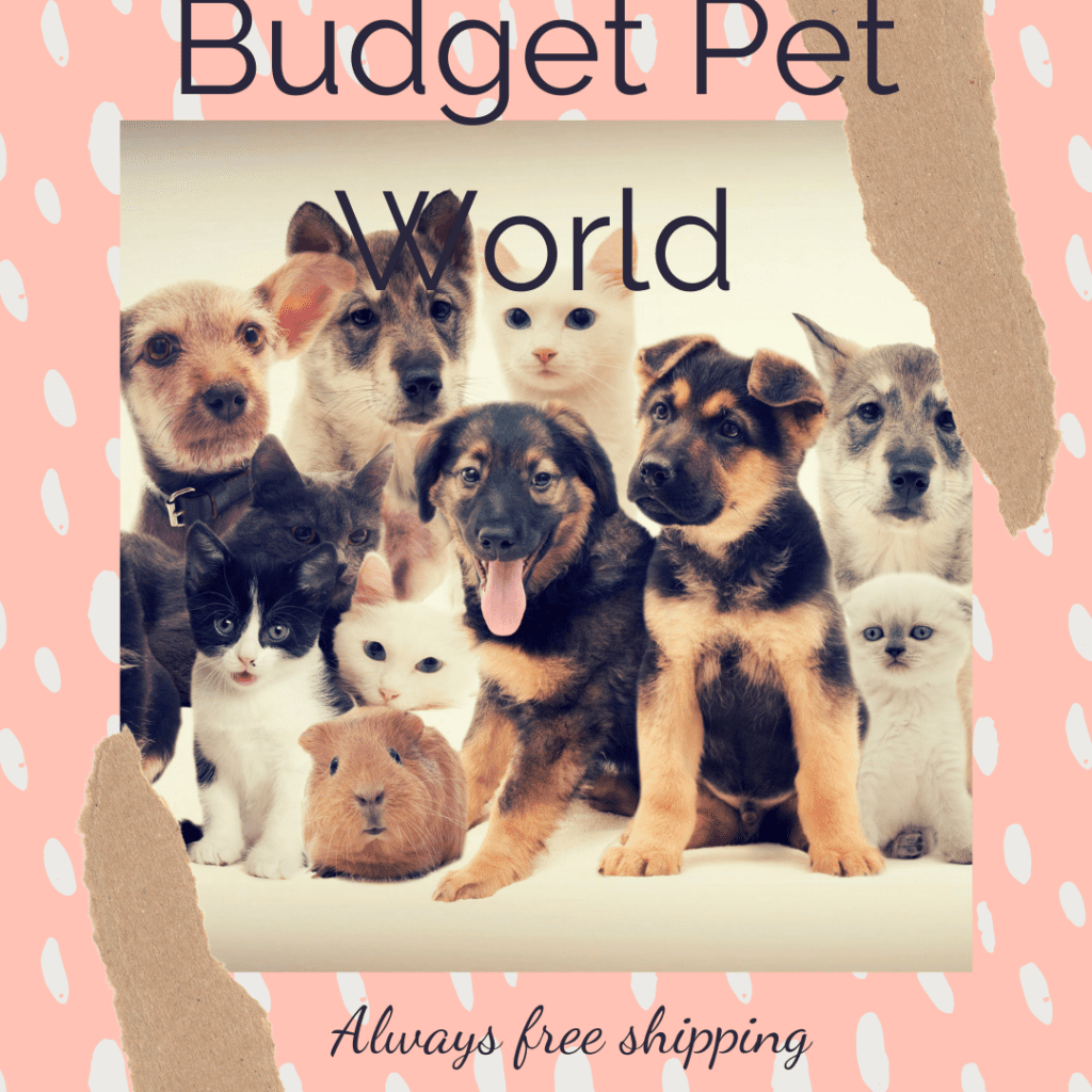 Savings Center - Pattern Princess