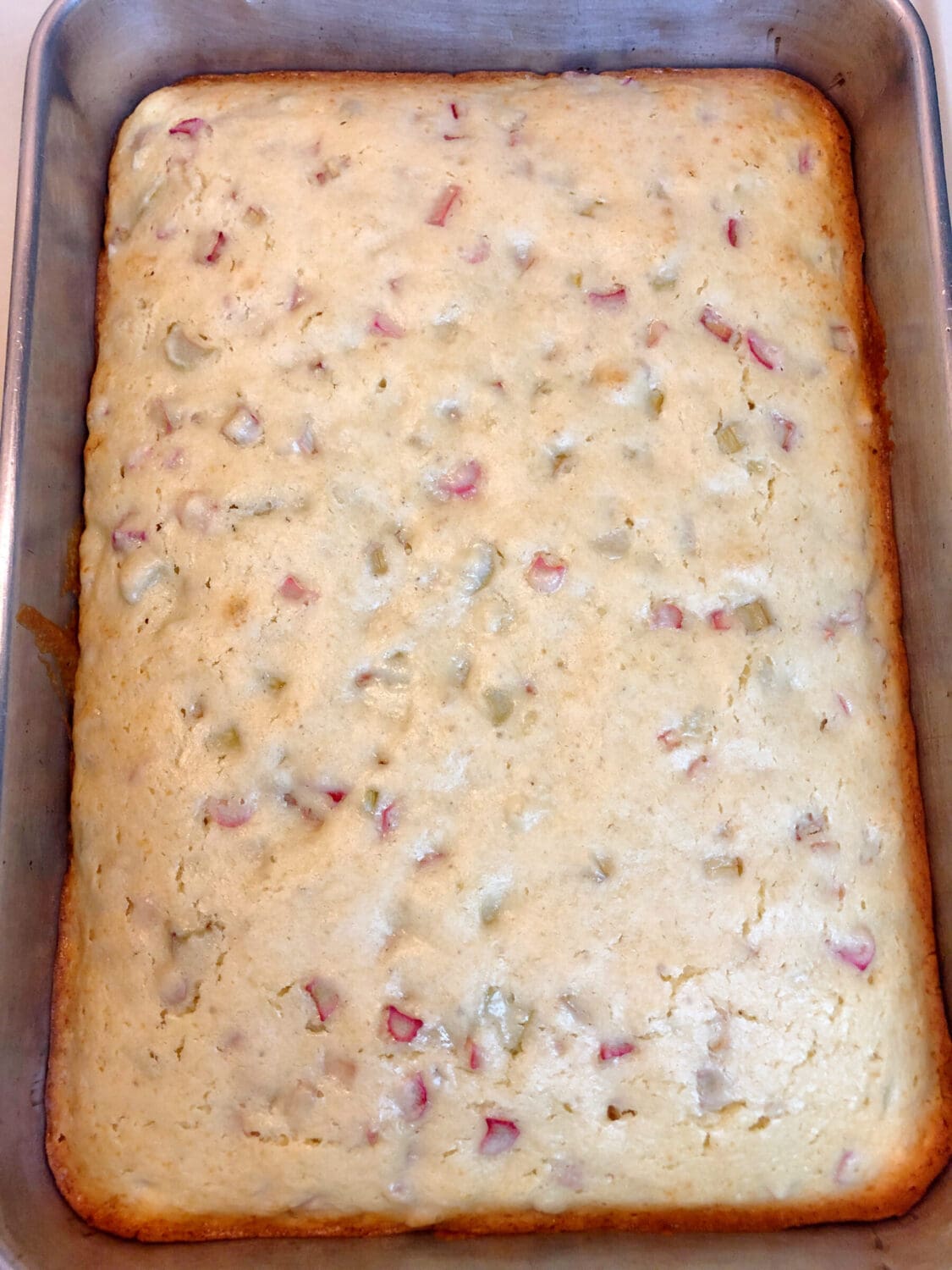 Rhubarb Cake with Buttery Cream Sauce - Pattern Princess